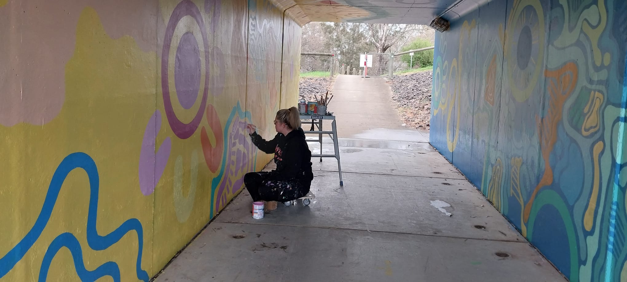 Axedale O’Keefe underpass mural celebration – Friends of the Bendigo ...